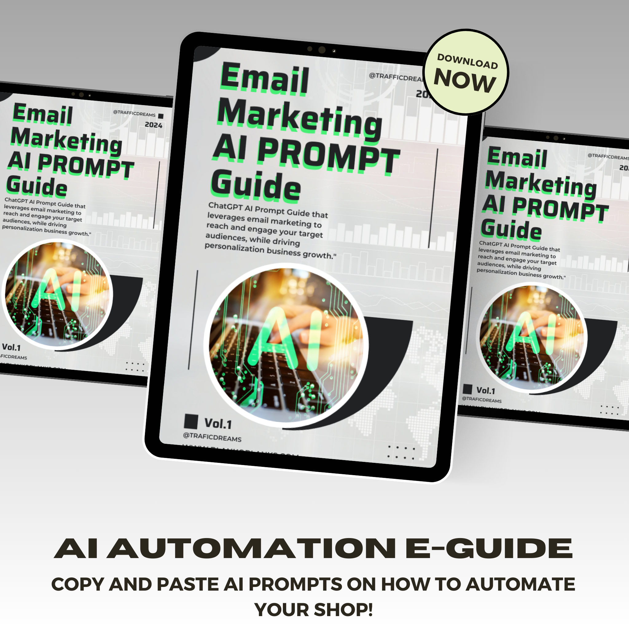 AI CHAT-GPT Email Marketing Automation E-Guide – BLANKO BLANKS